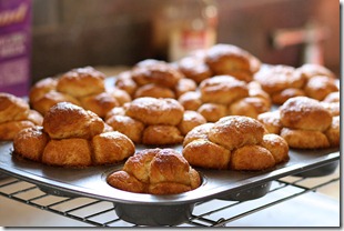 Cinnamon Bubble Buns - Sprinkled with Flour